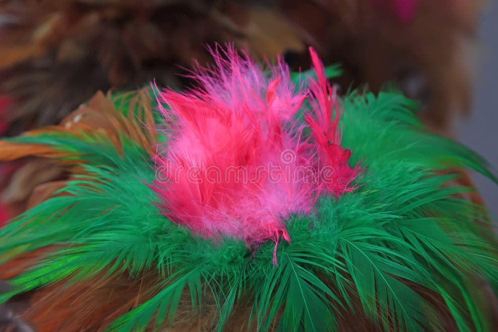 Color feather duster stock photo. Image of tools, feather - 389751824