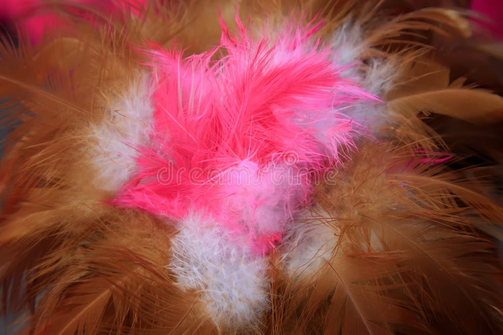Color feather duster stock photo. Image of traditional - 390708142
