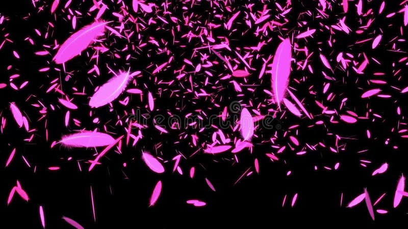 Color Feather Falling Particles Motion Graphics Stock Video - Video of ...
