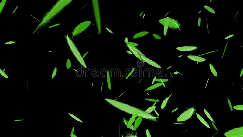 Color Feather Falling Particles Motion Graphics Stock Video - Video of ...