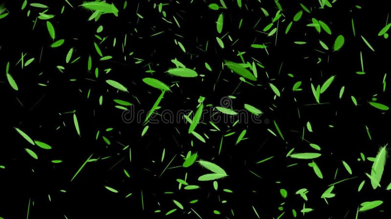 Color Feather Falling Particles Motion Graphics Stock Footage - Video ...