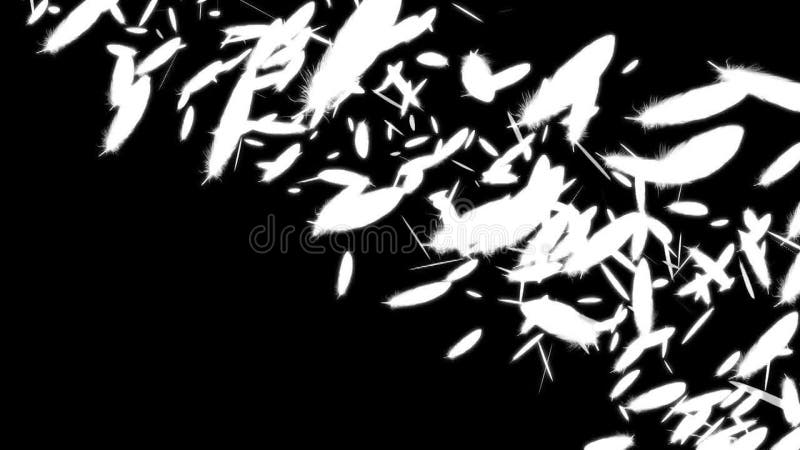 Color Feather Falling Particles Motion Graphics Stock Video - Video of ...
