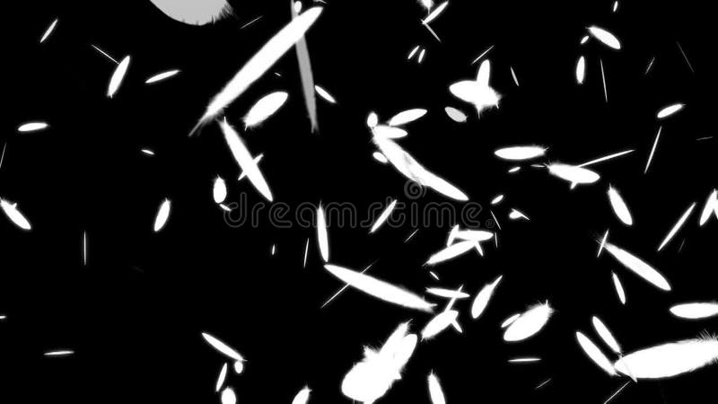 Color Feather Falling Particles Motion Graphics Stock Video - Video of ...