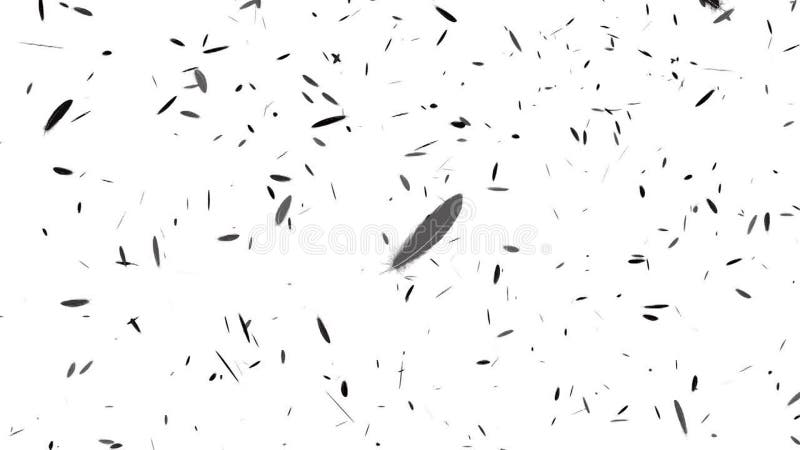 Color Feather Falling Particles Motion Graphics Stock Footage - Video ...