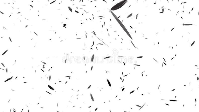 Color Feather Falling Particles Motion Graphics Stock Footage - Video ...