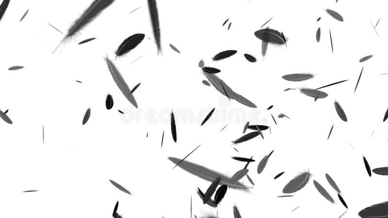 Color Feather Falling Particles Motion Graphics Stock Video - Video of ...