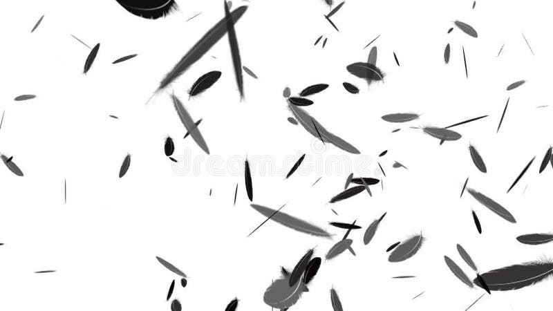 Color Feather Falling Particles Motion Graphics Stock Footage - Video ...