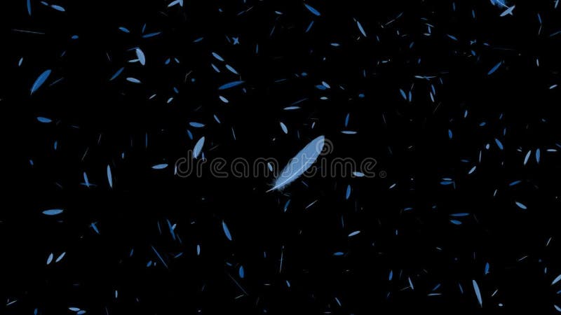 Color Feather Falling Particles Motion Graphics Stock Video - Video of ...