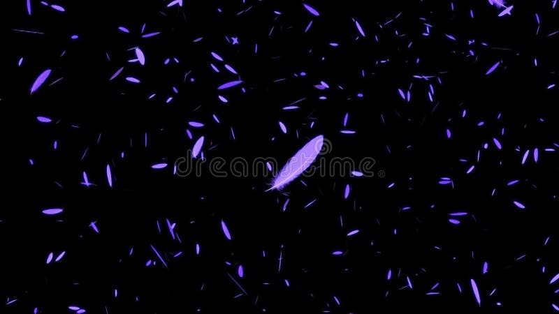 Color Feather Falling Particles Motion Graphics Stock Video - Video of ...