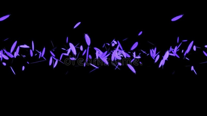 Color Feather Falling Particles Motion Graphics Stock Video - Video of ...