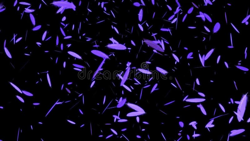 Color Feather Falling Particles Motion Graphics Stock Footage - Video ...