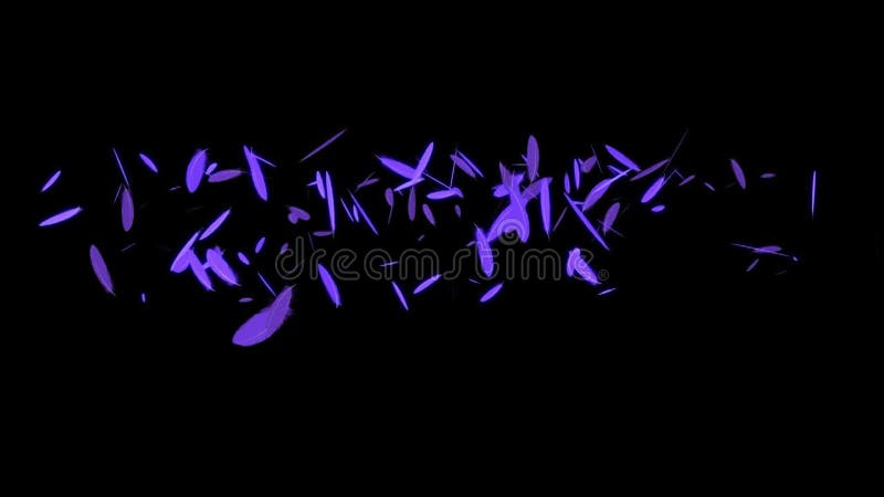 Color Feather Falling Particles Motion Graphics Stock Footage - Video ...