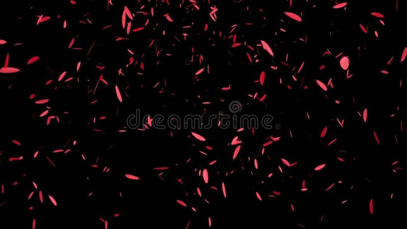 Color Feather Falling Particles Motion Graphics Stock Footage - Video ...