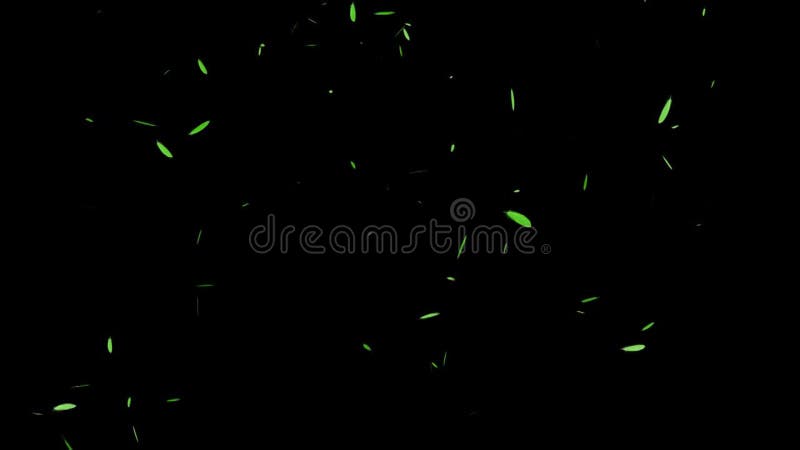 Color Feather Falling Particles Motion Graphics Stock Video - Video of ...