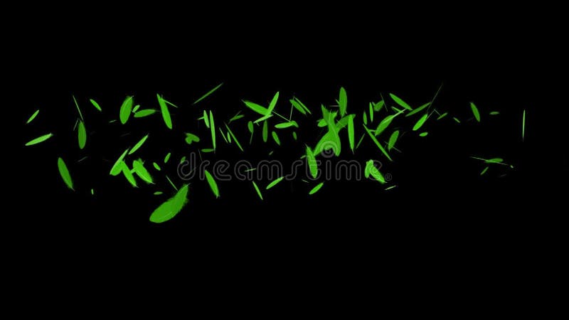 Color Feather Falling Particles Motion Graphics Stock Footage - Video ...