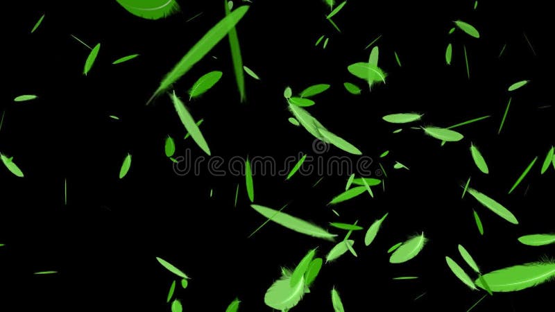 Color Feather Falling Particles Motion Graphics Stock Footage - Video ...