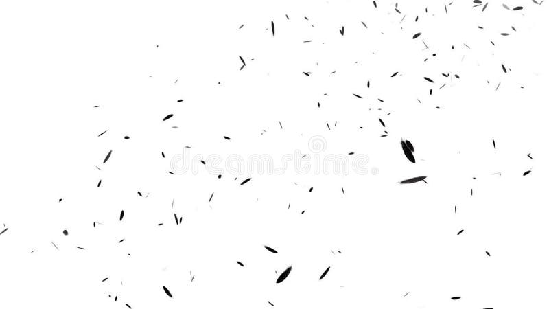 Color Feather Falling Particles Motion Graphics Stock Video - Video of ...