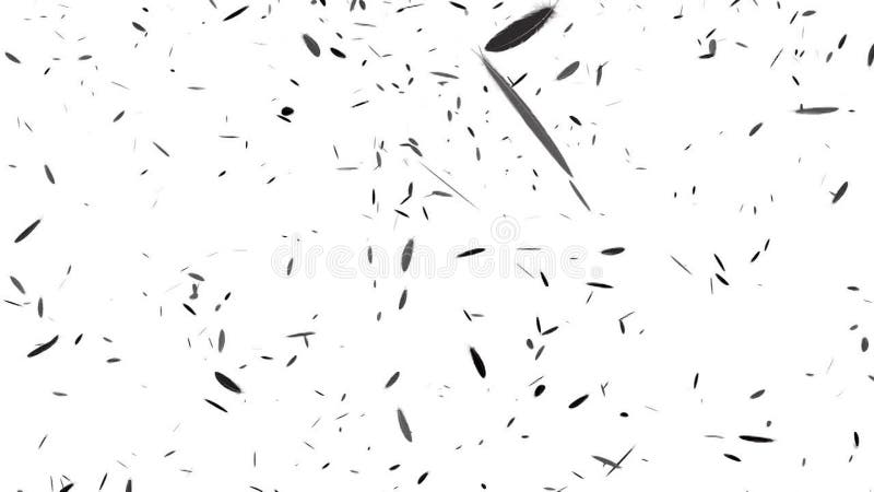 Color Feather Falling Particles Motion Graphics Stock Footage - Video ...