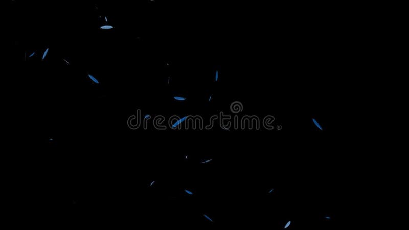 Color Feather Falling Particles Motion Graphics Stock Footage - Video ...