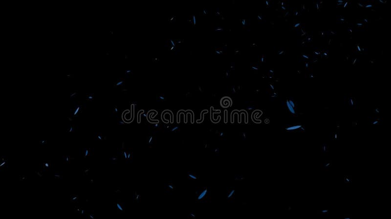 Color Feather Falling Particles Motion Graphics Stock Video - Video of ...