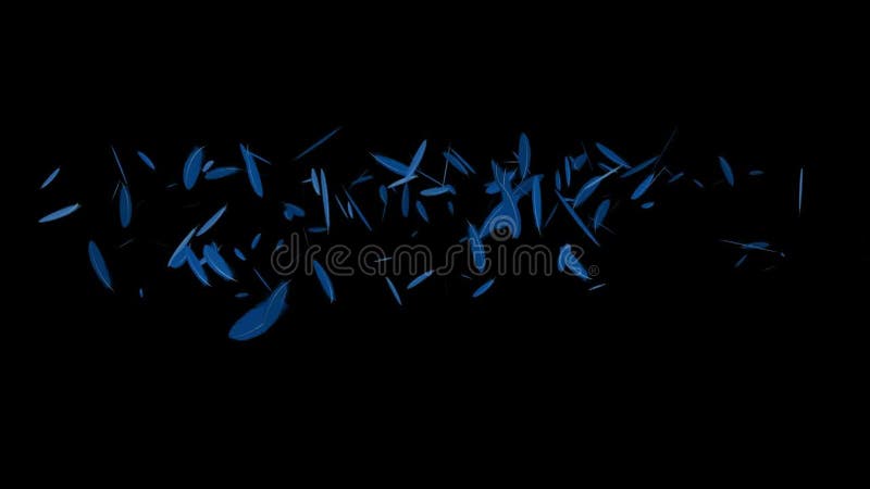 Color Feather Falling Particles Motion Graphics Stock Footage - Video ...