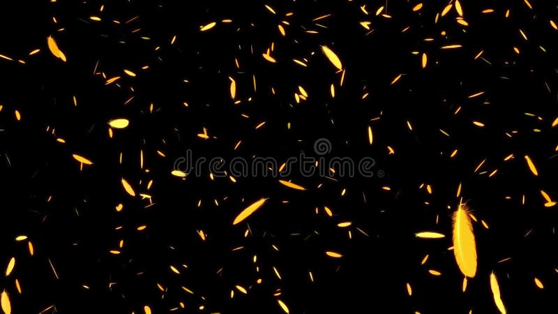 Color Feather Falling Particles Motion Graphics Stock Footage - Video ...