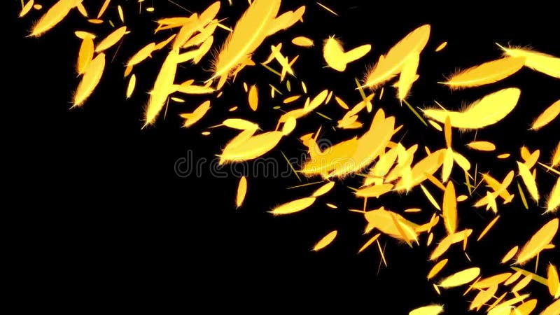 Color Feather Falling Particles Motion Graphics Stock Footage - Video ...