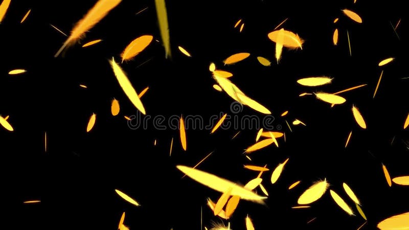 Color Feather Falling Particles Motion Graphics Stock Video - Video of ...
