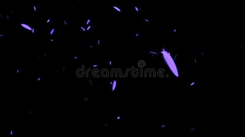 Color Feather Falling Particles Motion Graphics Stock Video - Video of ...