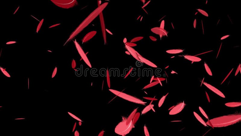 Color Feather Falling Particles Motion Graphics Stock Video - Video of ...