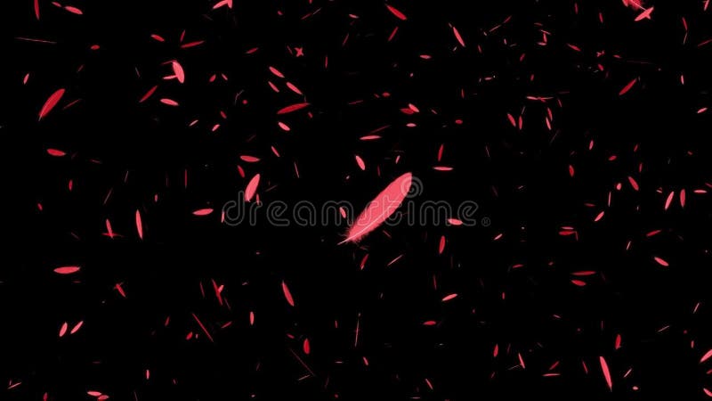 Color Feather Falling Particles Motion Graphics Stock Footage - Video ...