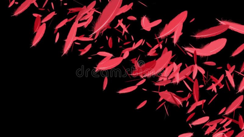 Color Feather Falling Particles Motion Graphics Stock Video - Video of ...