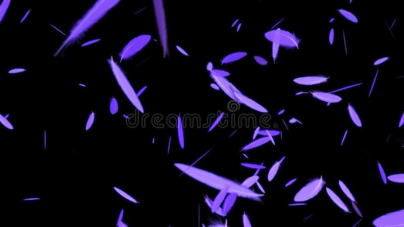 Color Feather Falling Particles Motion Graphics Stock Footage - Video ...