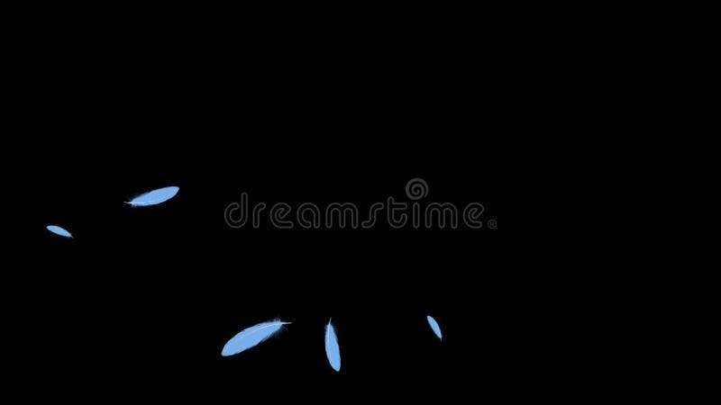Color Feather Soaring Particle Motion Graphics Stock Footage - Video of ...