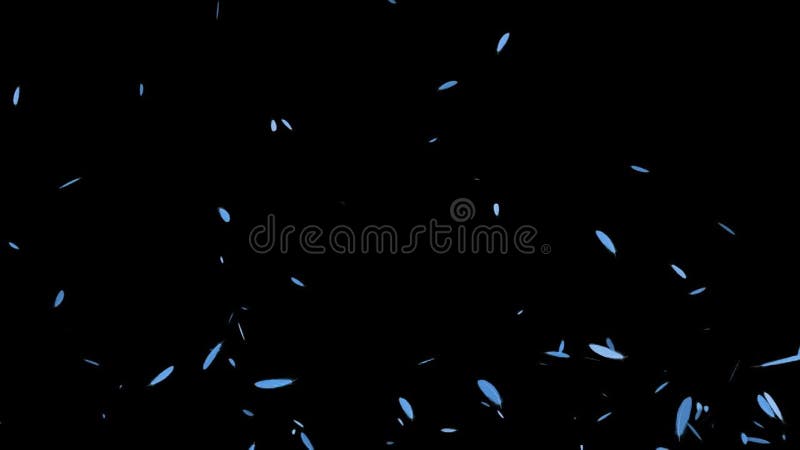 Color Feather Soaring Particle Motion Graphics Stock Video - Video of ...