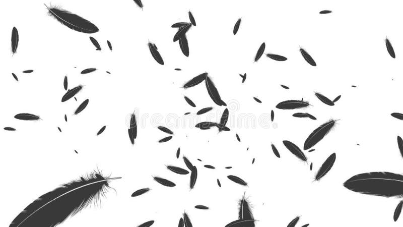 Color Feather Soaring Particle Motion Graphics Stock Video - Video of ...