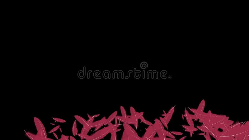 Color Feather Soaring Particle Motion Graphics Stock Video - Video of ...