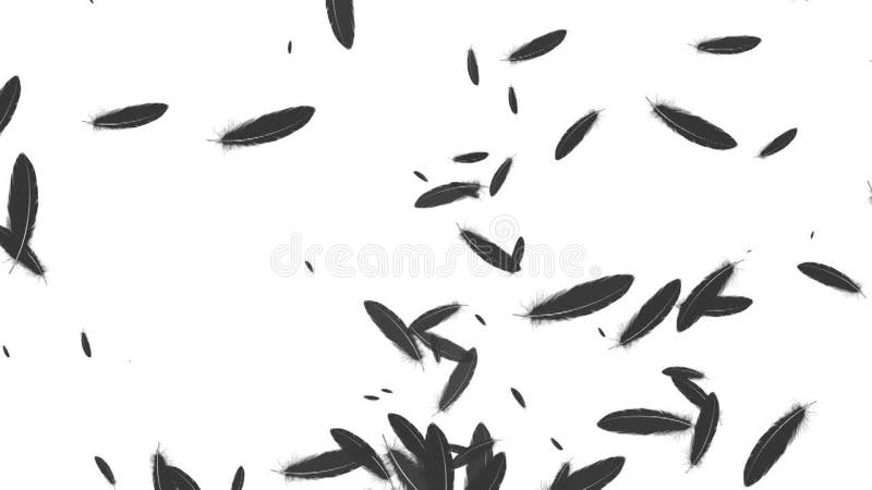 Color Feather Soaring Particle Motion Graphics Stock Footage - Video of ...