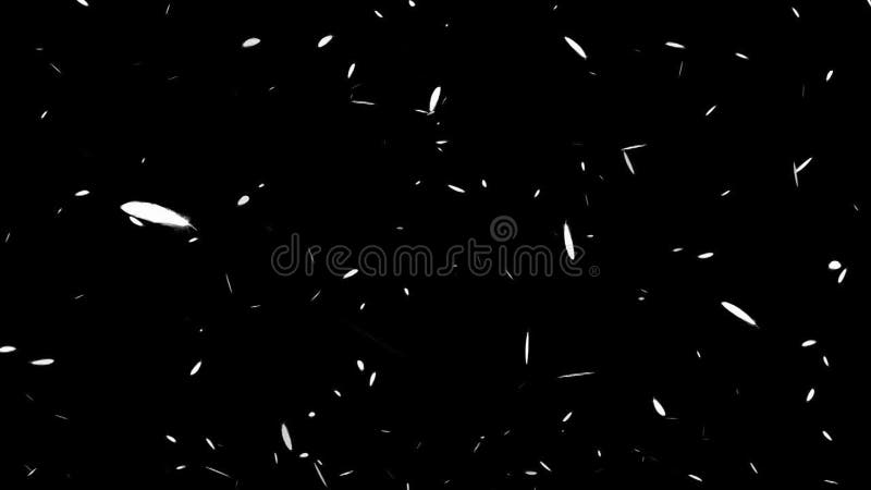 Color Feather Soaring Particle Motion Graphics Stock Video - Video of ...
