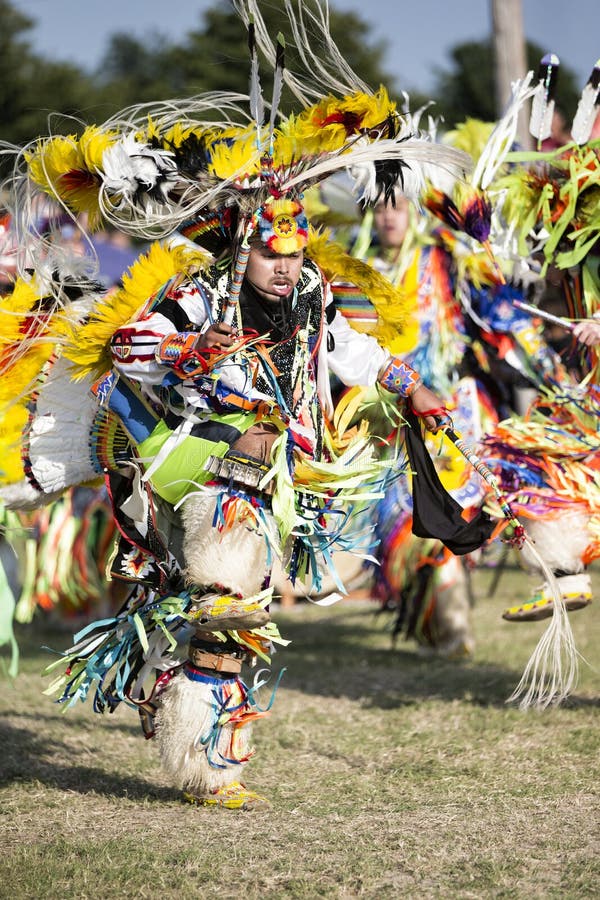 Color in feathers editorial stock photo. Image of inter - 42345178