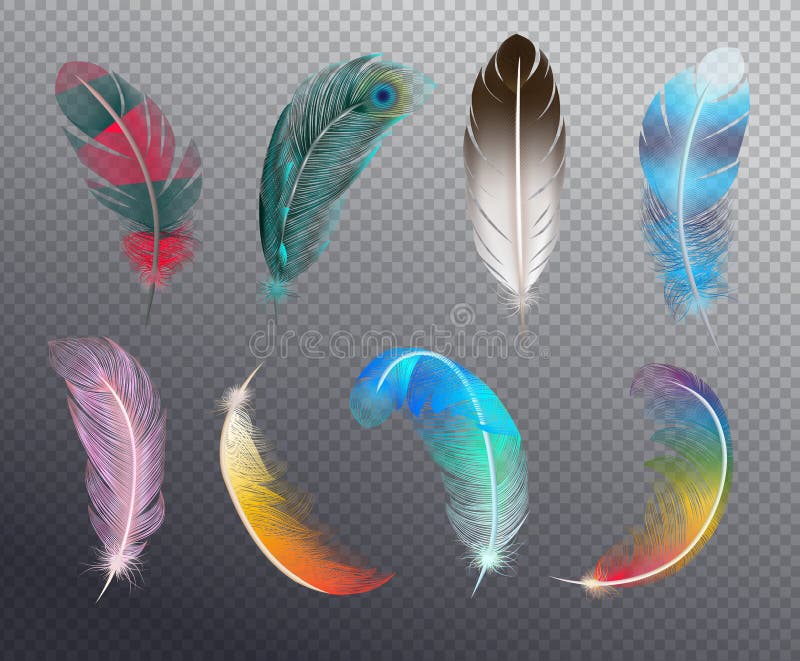 Color Feathers Realistic Set Stock Vector - Illustration of flight ...