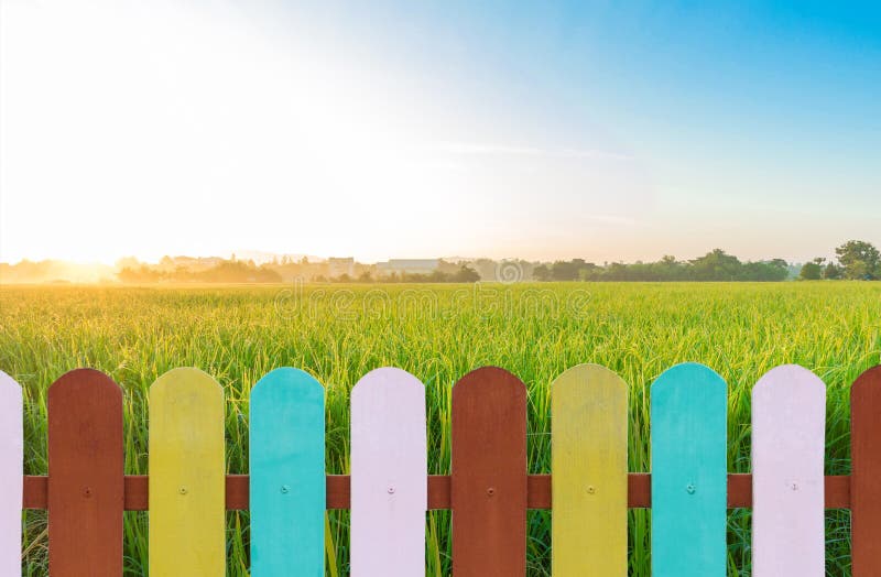 Fence of Rice Field, Thailand Stock Image - Image of mind, grass: 10567553