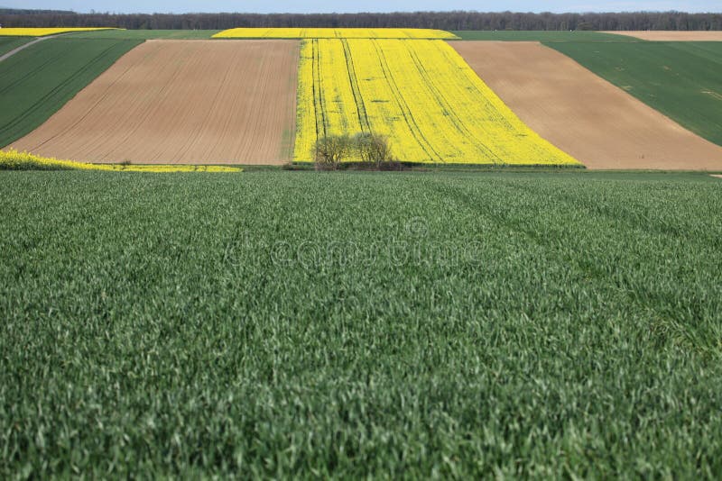 Color&fields stock photo. Image of color, great, tourism - 61526862