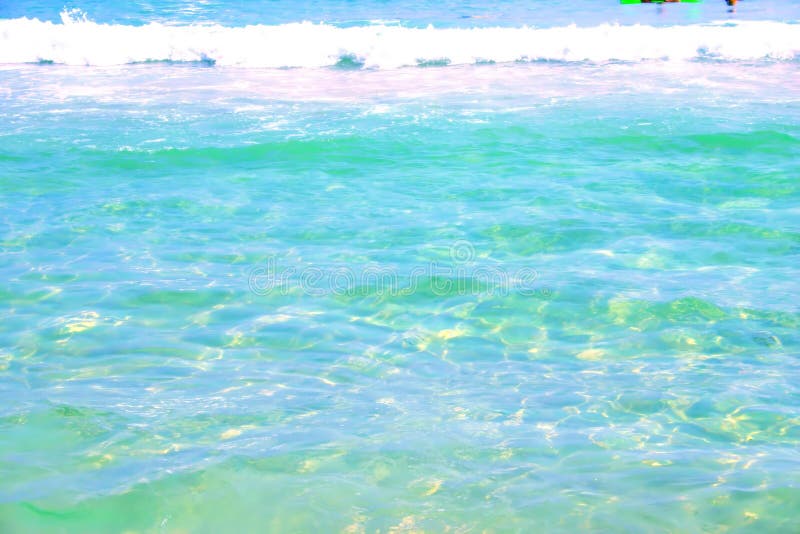 Color of Florida stock photo. Image of florida, green - 2447846