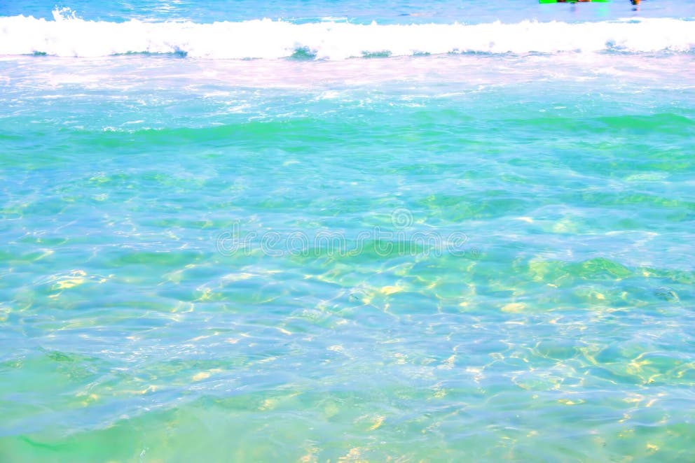 Color of Florida stock photo. Image of florida, green - 2447846