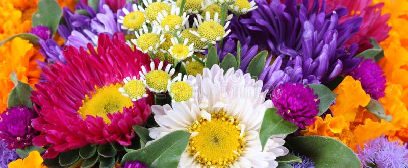 Color Flowers Bouquet. Nature Horizontal Background Stock Photo - Image ...