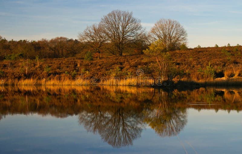 Color Full Autumn Scene in the Late Afternoon Wit Stock Image - Image ...