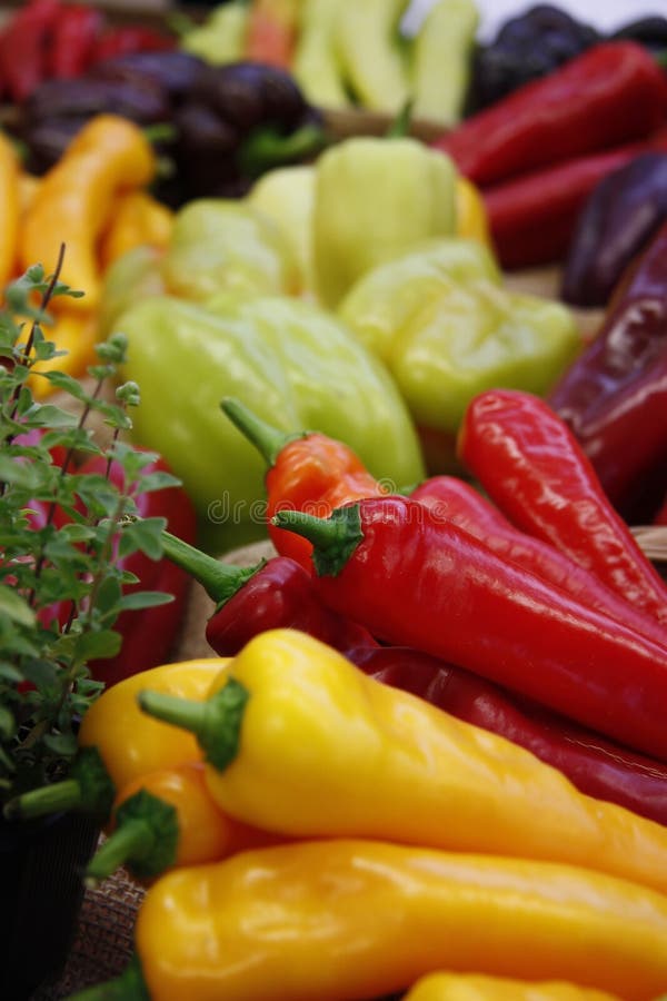 Color-full Chili Hot Peppers Stock Photo - Image of health, chili: 11320626