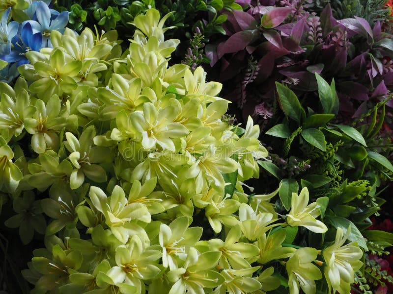 The Color Full of Flower Blooms Stock Image - Image of green, summer ...