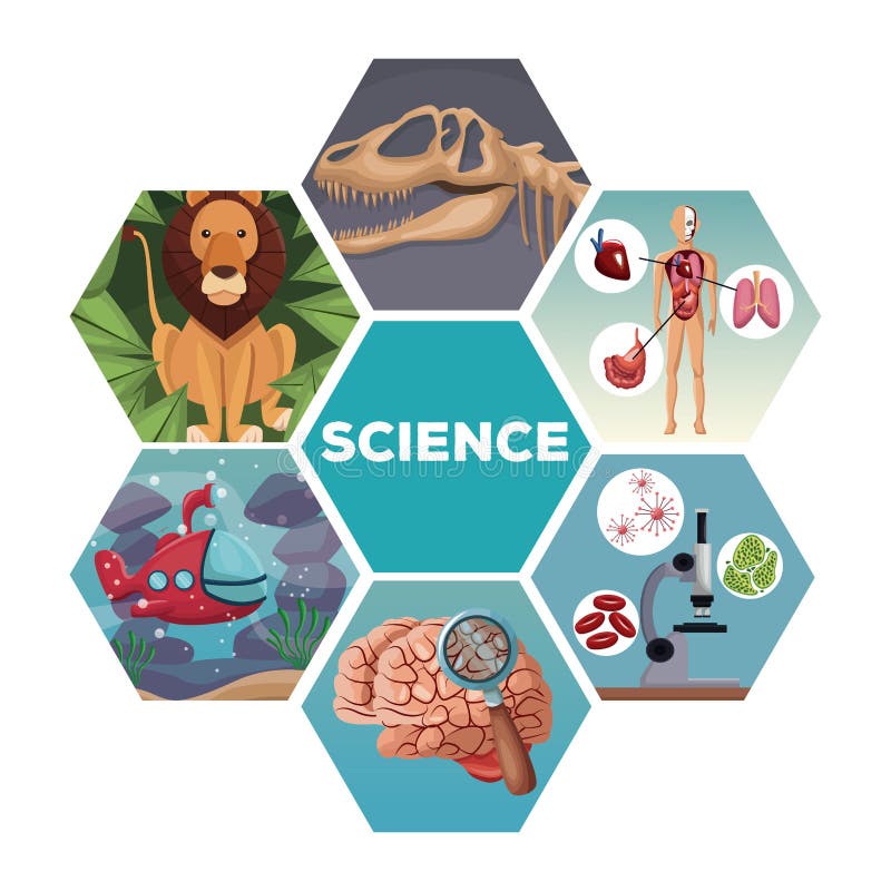 Color Geometric Abstract Figures with Icons World Evolution Stock ...